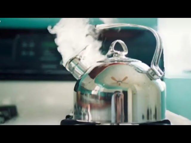 Тазиковый рай, жизнь без горячей воды#2024 #music #song #юмор #lol #приколы #прикол #музыка