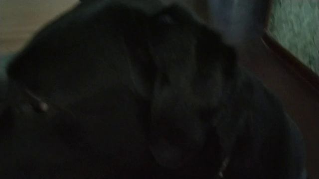 Со смены. Дадут подремать или нет?