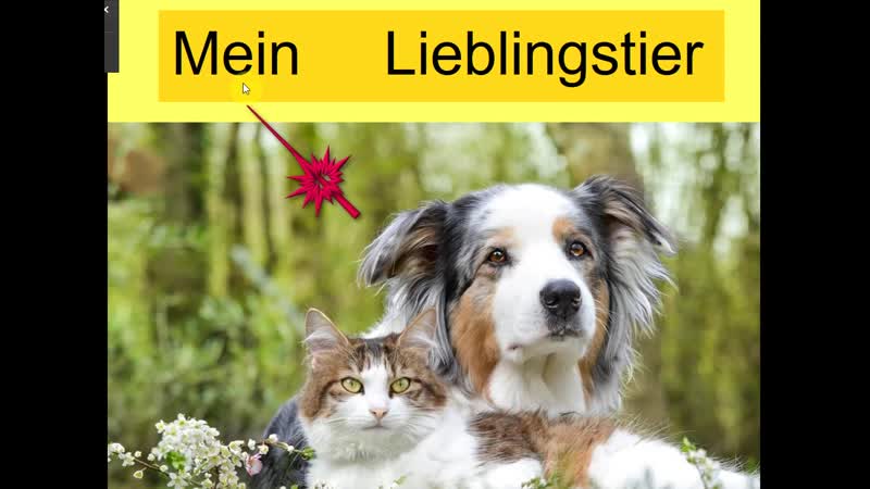 Mein Lieblinstier обзор урока по учебнику Аверин, Горизонты