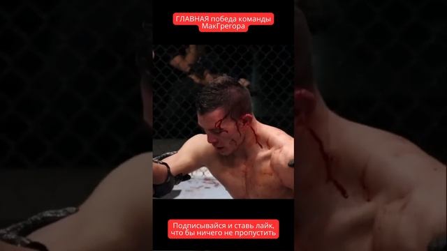 ГЛАВНАЯ победа команды МакГрегора #fight #mma #popmma #reels #ufc #ufc4