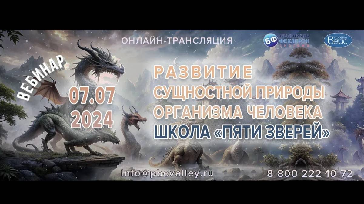 Развитие сущностной природы организма человека. Школа Пяти Зверей Вебинар Бронникова В.М. 7.07.2024