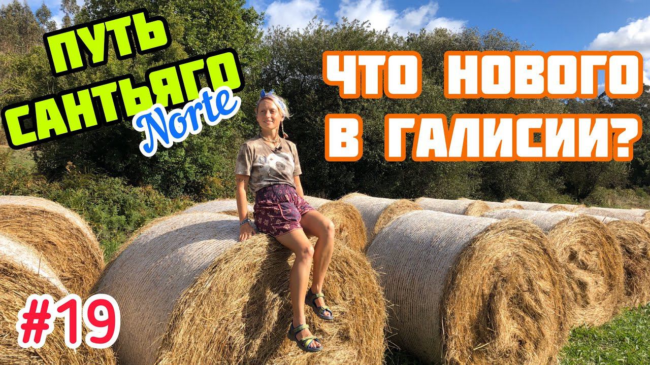 #19 ПУТЬ САНТЬЯГО Норте | Что нового в Галисии?