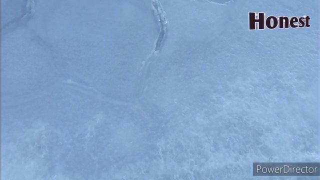 ( 1 сезон 2 серия ) я решил проверить лед на море