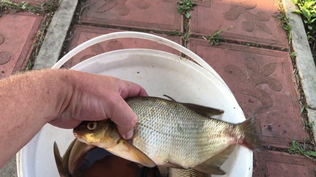 Лещ. Сургут. Хмао