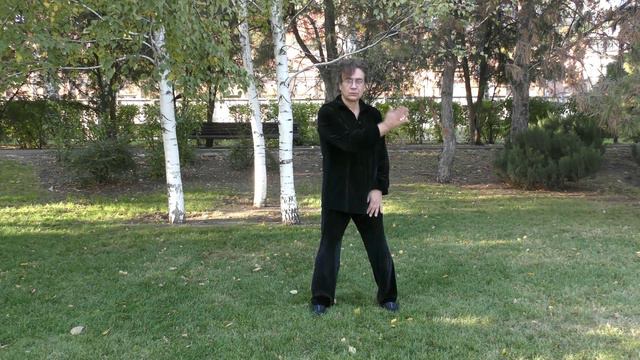 12 Таолу стиля Орлан и барс удары руками дальней дистанции