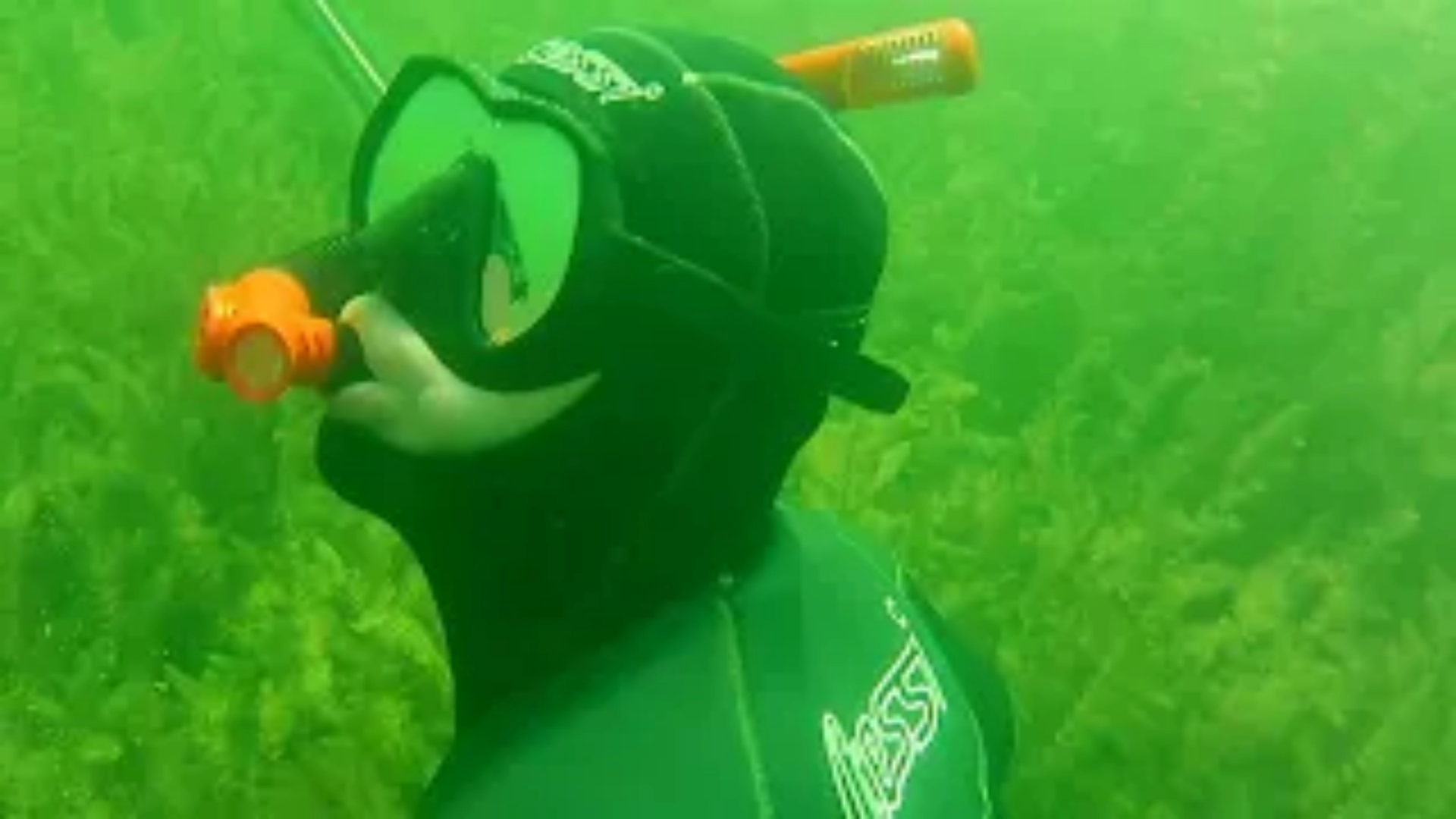 Подводная фотоохота. Калининградская область. Синявинский карьер.