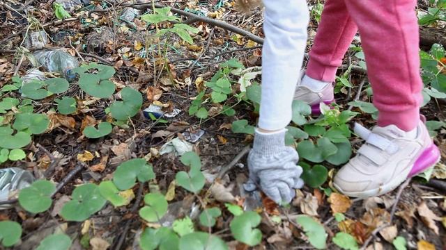 Мы за #чистый лес