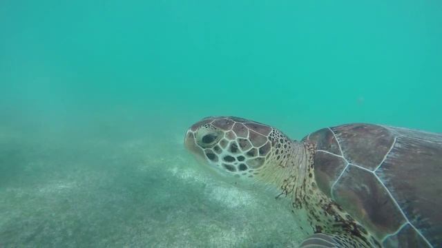 Рекламный биомусор| разговоры с рекламщиками