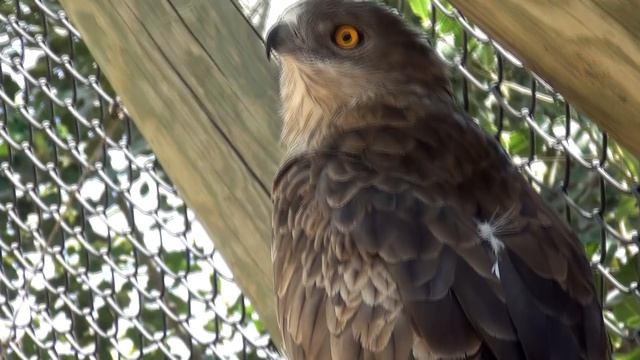 Израиль 2019 проект 16 v.19.mp4