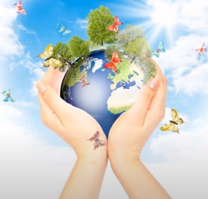 Юрий Волщуков - Польза