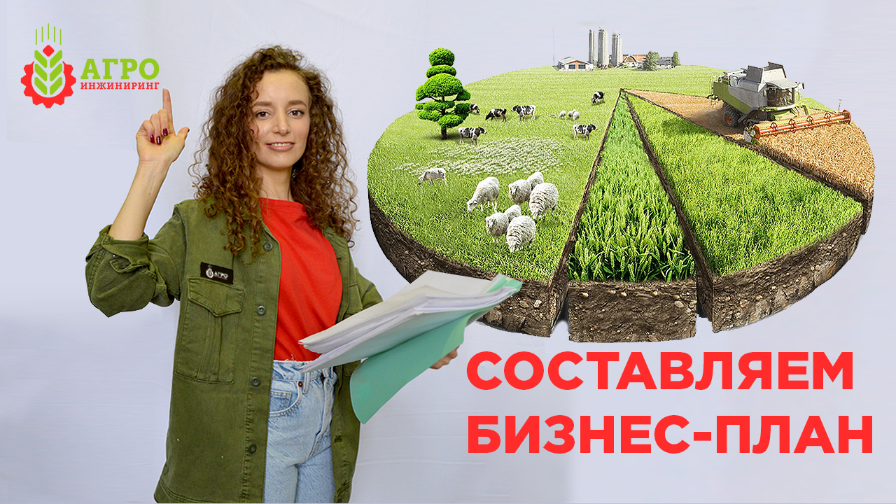 Для чего нужен бизнес-план, чем он полезен и как его правильно составлять.