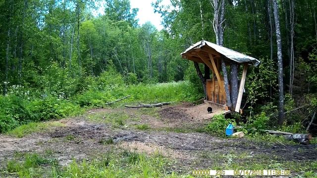 Птицы, запечатленные на фото ловушку. Часть № 28