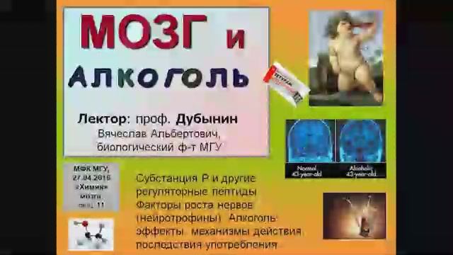 Вячеслав Альбертович Дубынин, биофак МГУ Химия мозга, Лекция № 11 - Алкоголь