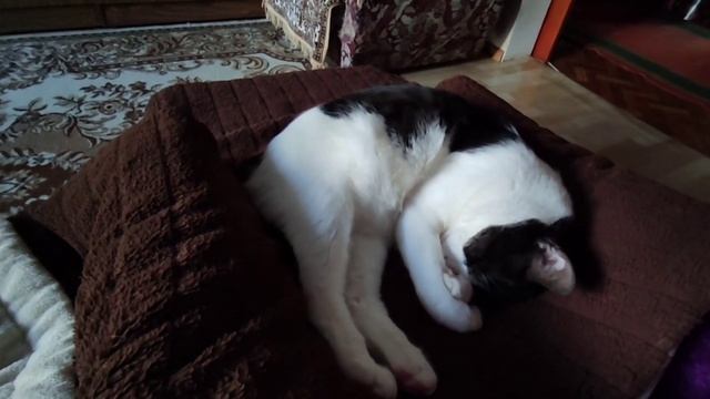 Снова тихий час