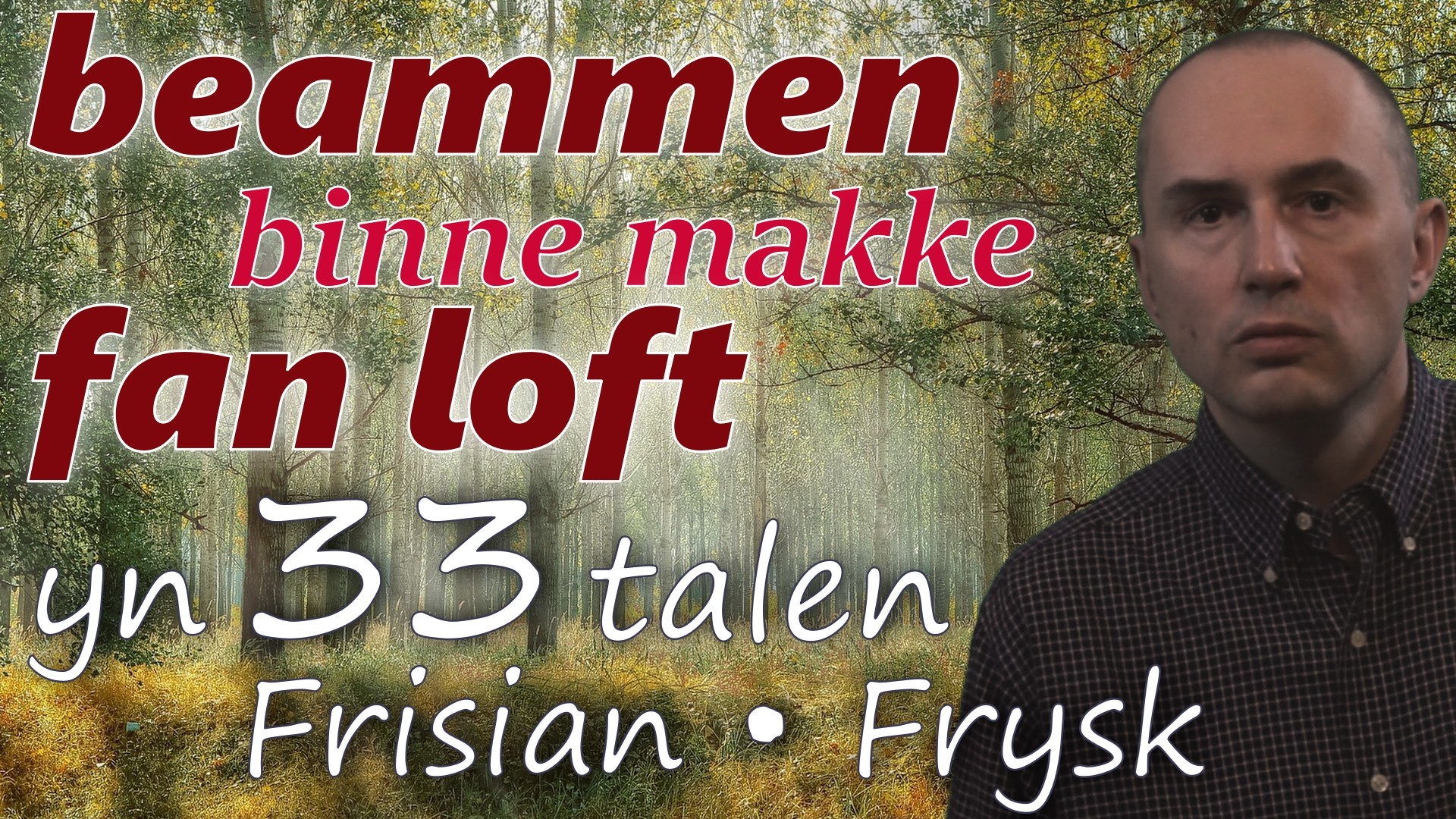 Деревья сделаны из воздуха — на ФРИЗСКОМ и еще 33 языках