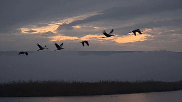 ЧТОБЫ ВЫ БЕЗ ПОТЕРЬ ДОБРАЛИСЬ - исполняет ЮРИЙ СТАРЦЕВ
