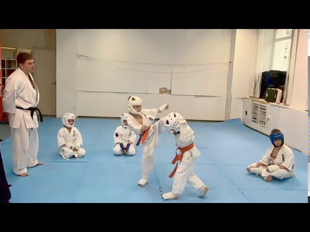 Хроники Struin Dojo. Помелов Младший.