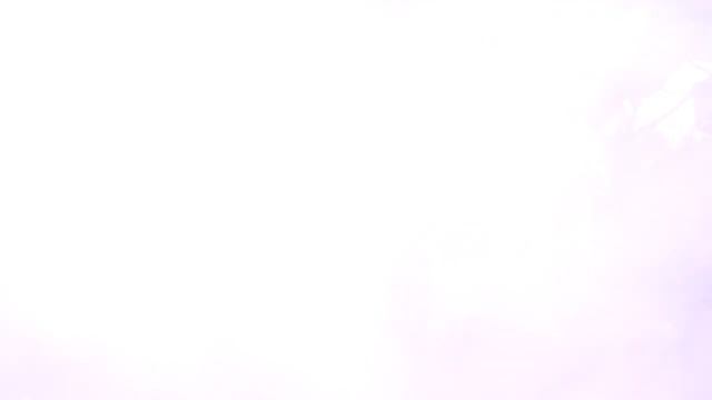 Медведи - ЕЩЕ (живой звук), муз. и сл. Роман Рыкалов