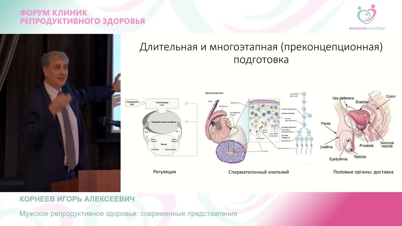 Корнеев И.А.  «Мужское репродуктивное здоровье: современные представления»