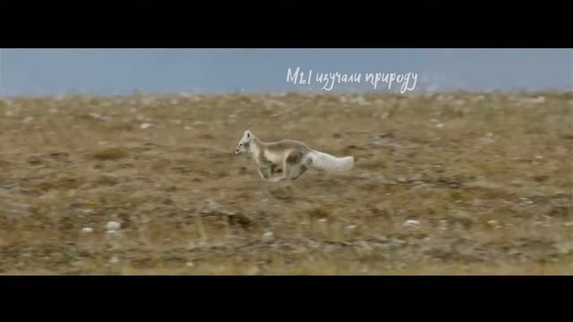 Заповедная Россия