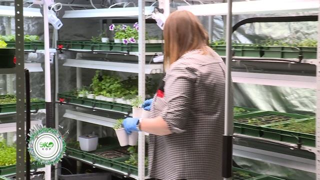 Экокор 9: чем занимаются в "ЭкоКванте"?