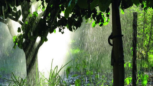 Claude Debussy - Estampes, III. Jardins sous la pluie
Nikita Krylov, Piano