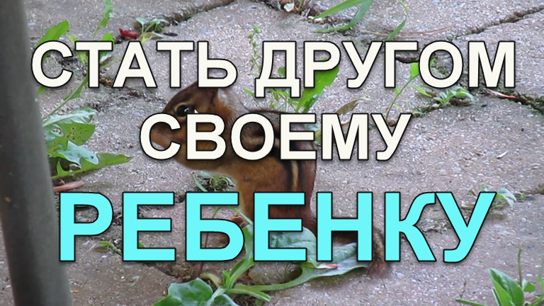 Чтобы стать другом своему ребенку, придется перестать быть назойливой мухой.