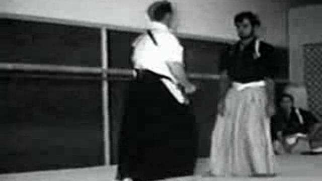 Янаги Рю Айки дзю дзюцу - мастер Дон Энджер