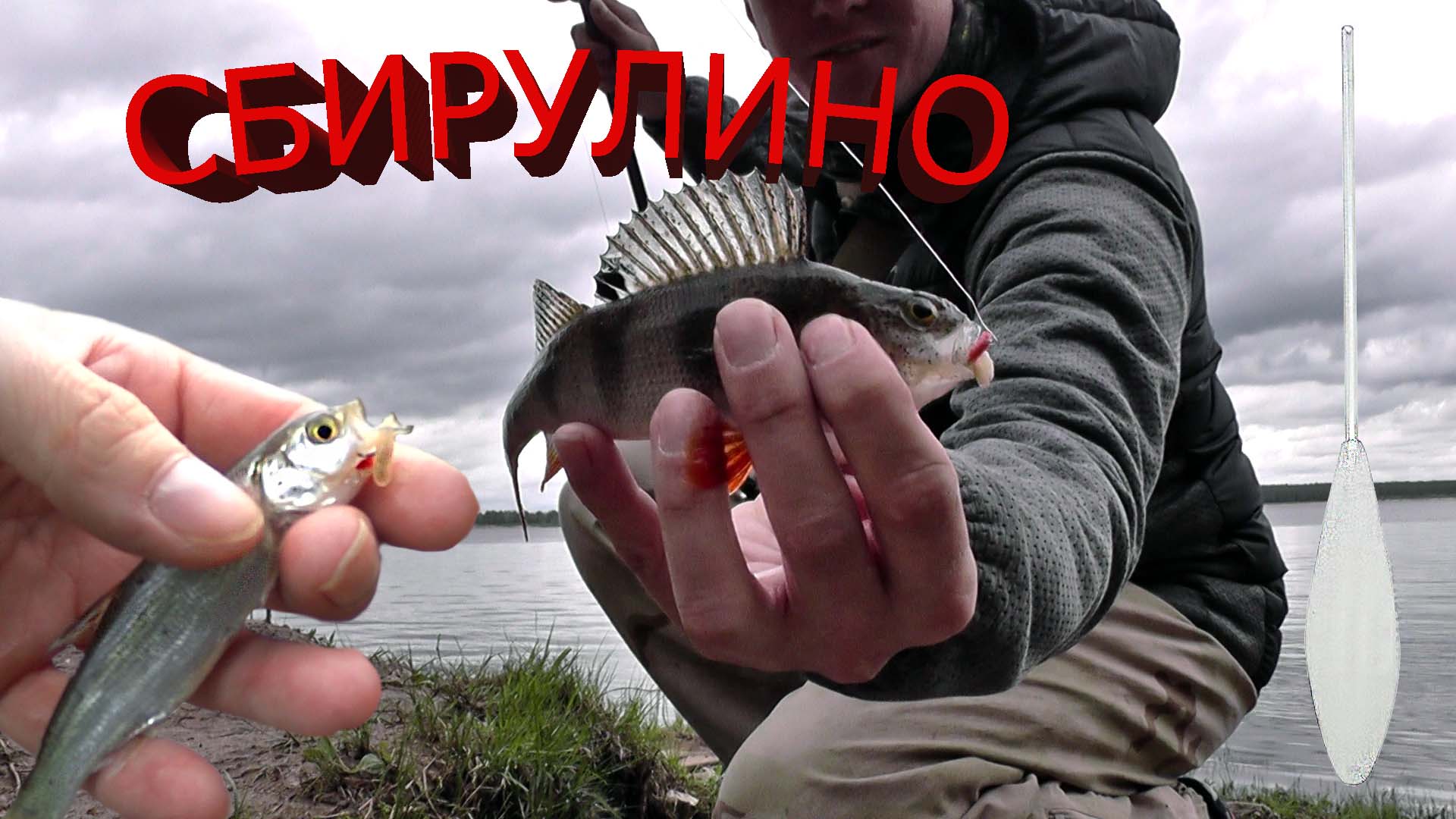В поисках активной рыбы. Пробую ловить на сбирулино.
