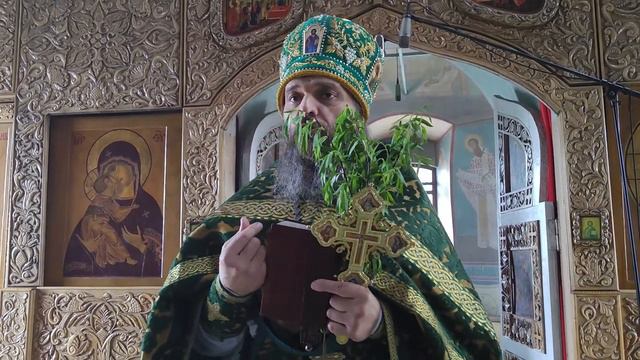 Бог ещё с тобой. Веточка и пень. Запах из подвала. Говори ещё! 28.4.2024.