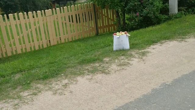 Бесплатные яблоки