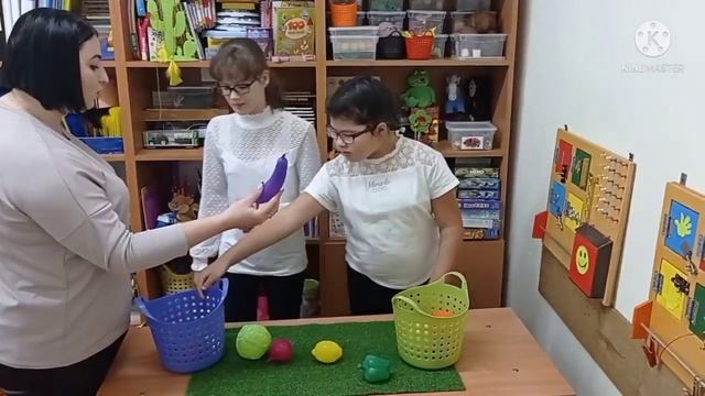 Подгрупповое коррекционное занятие на тему: "Осенний урожай".