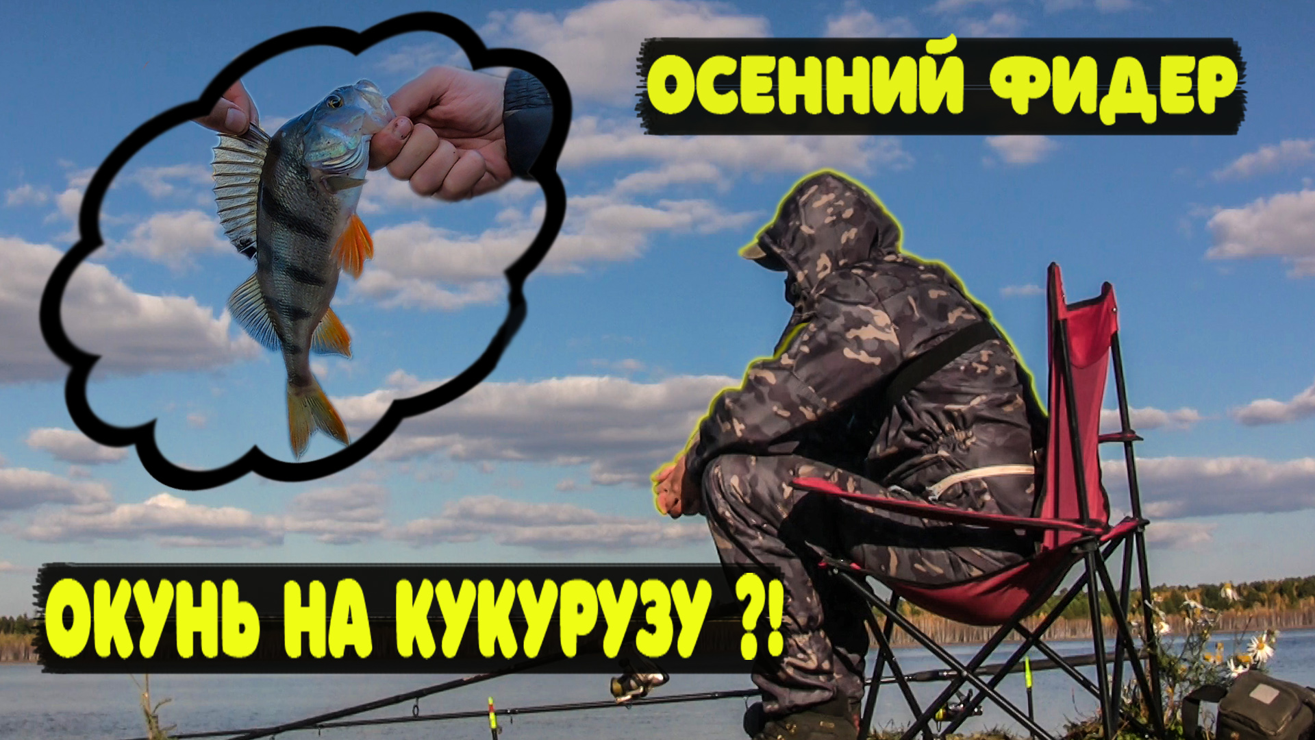 Осенний фидер. Окунь клюёт на кукурузу