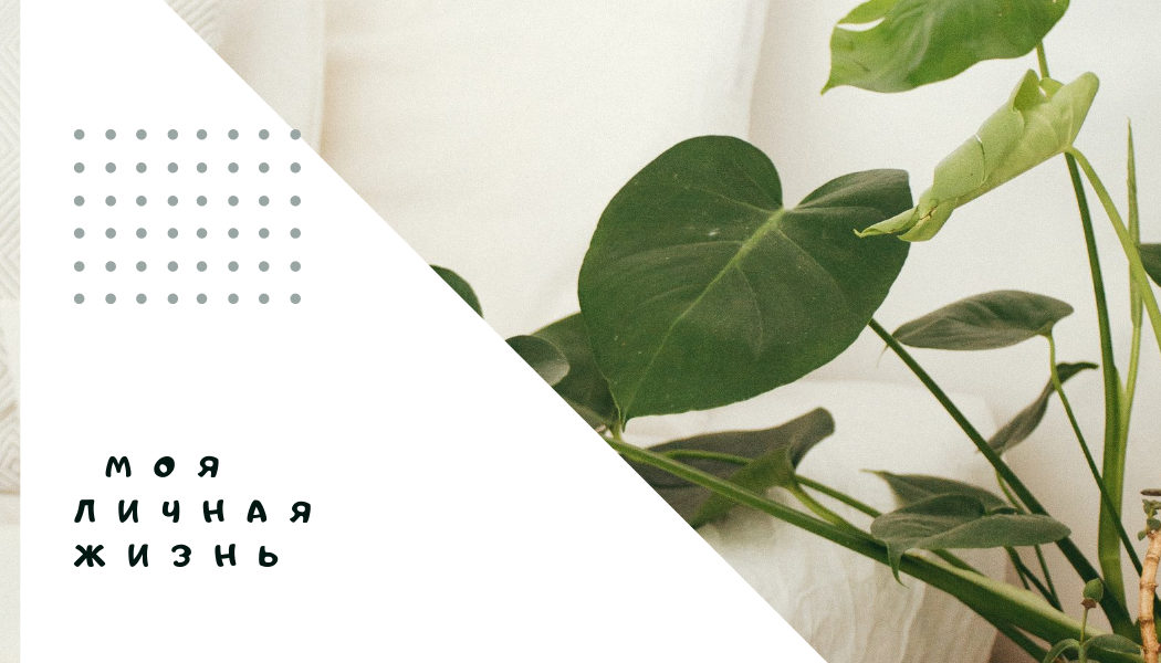«Моя личная жизнь»