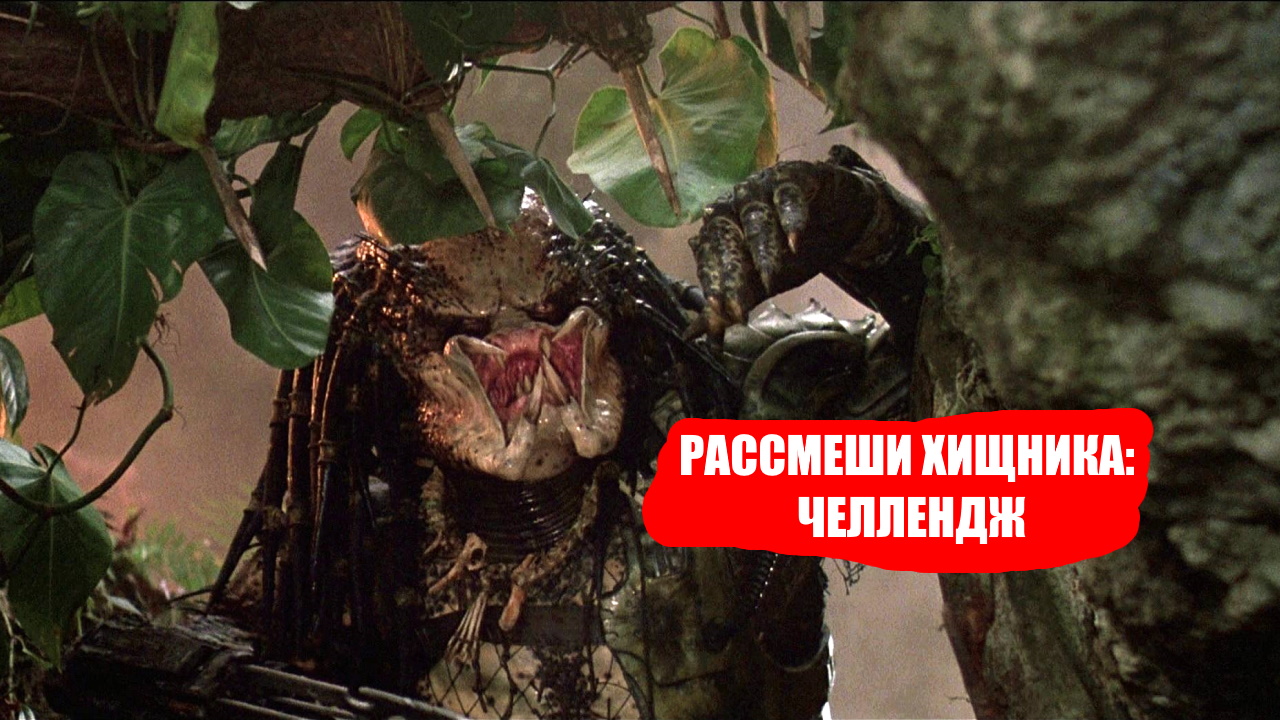 Рассмешите хищника - челлендж из 10 попыток