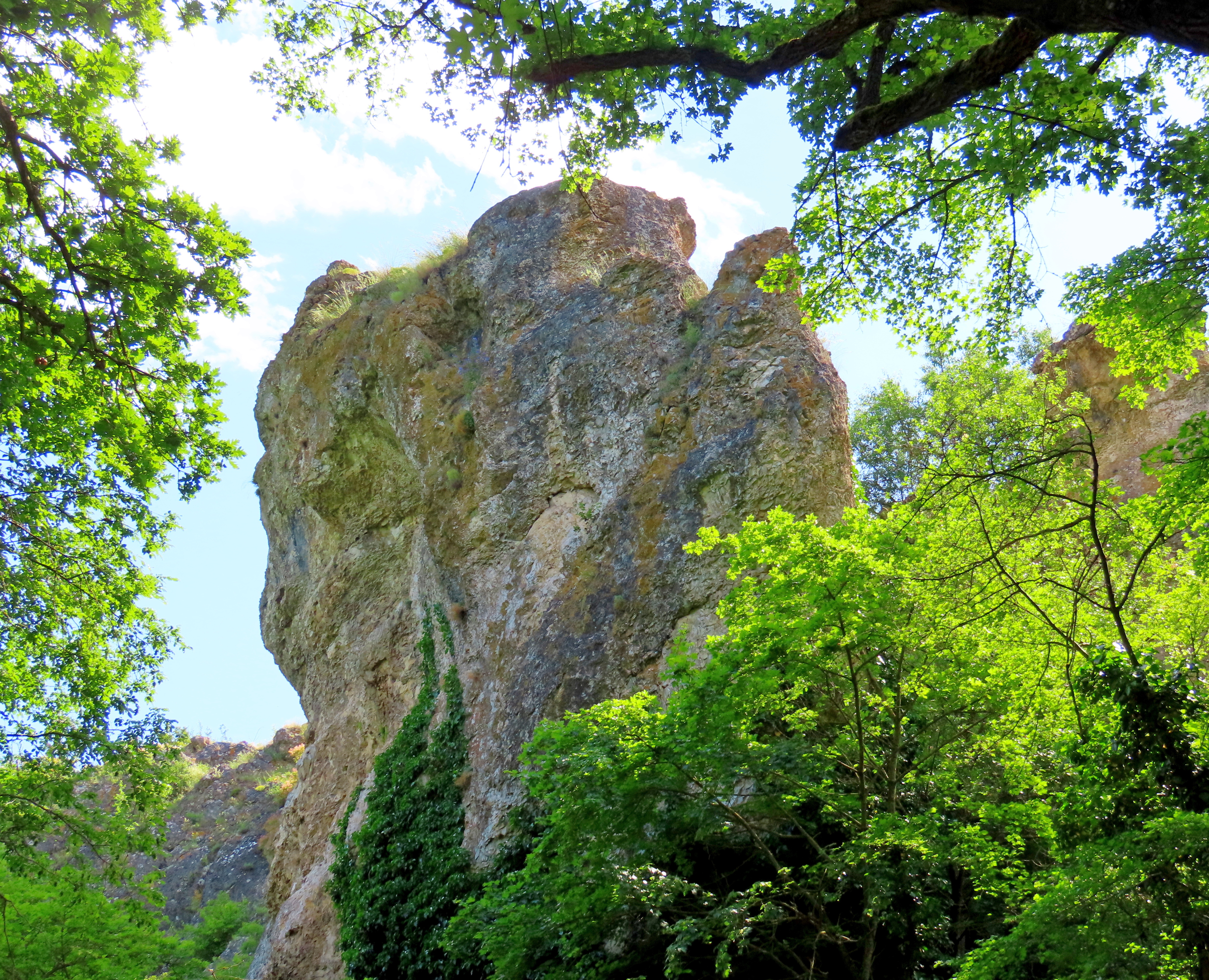 Дремучий и сказочный лес урочища Карасу-Баши.