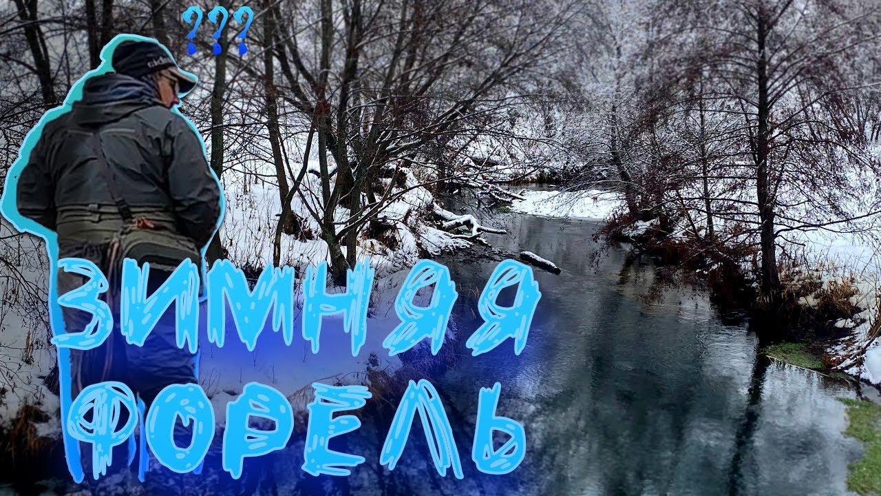 Зимняя форель