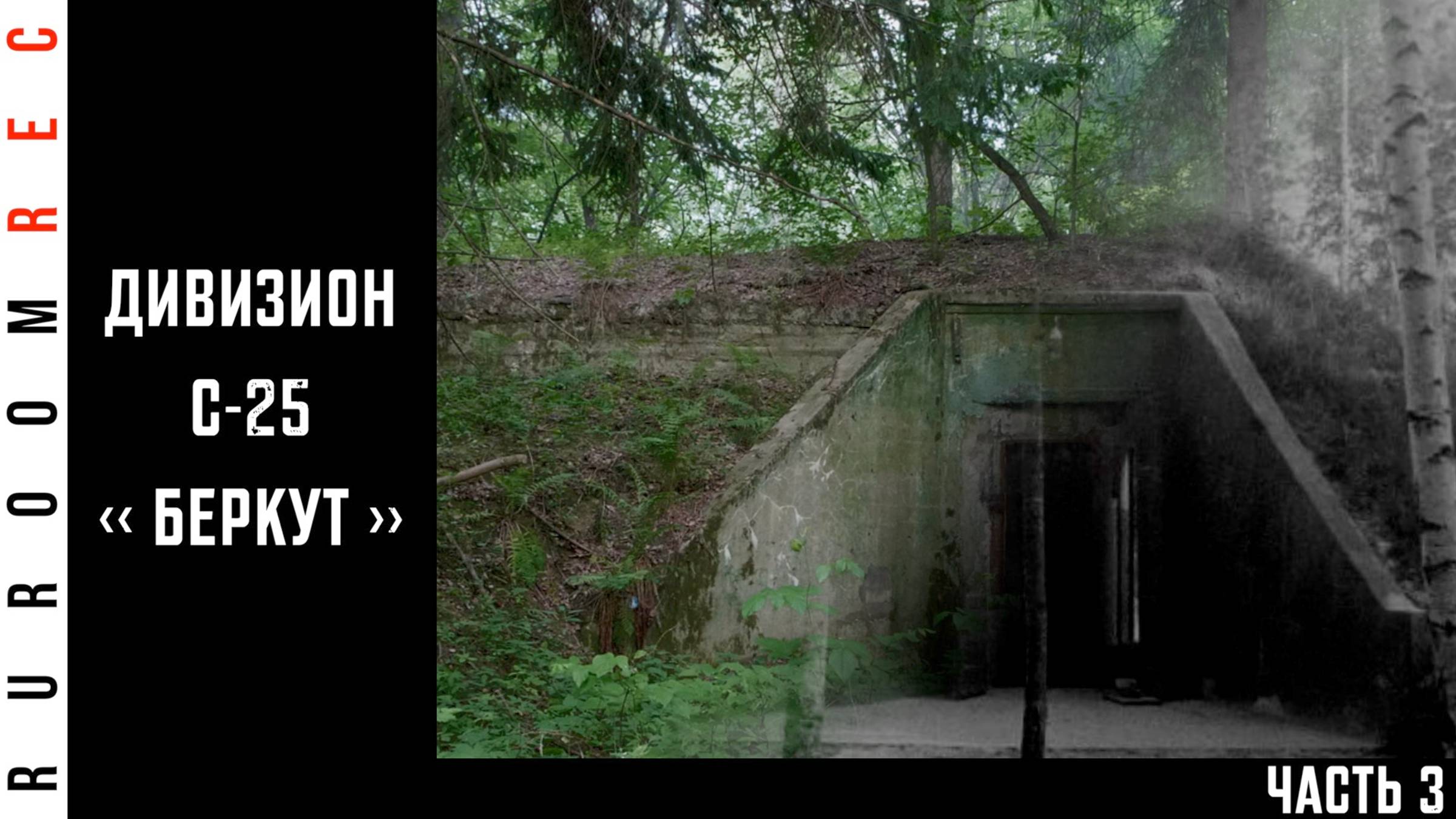 С-25 "Беркут" (Дивизион, стартовые позиции) (часть 3) в/ч 51831 RuRoomREC