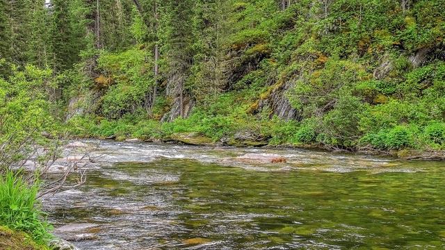 Путешествие в Ергаки ,часть 2, Нижняя Буйба-правый приток реки Уса