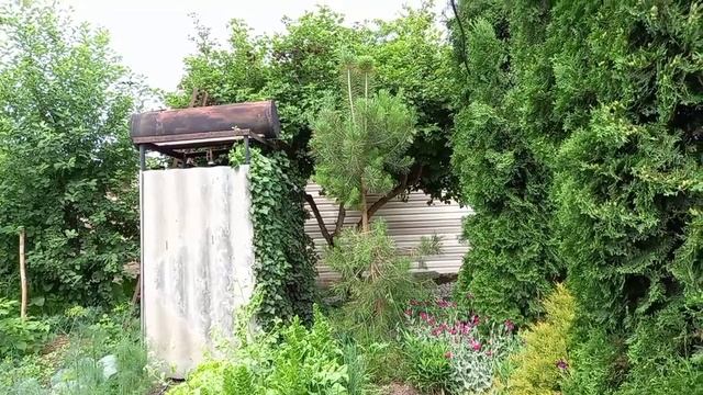 САД В ИЮНЕ..mp4