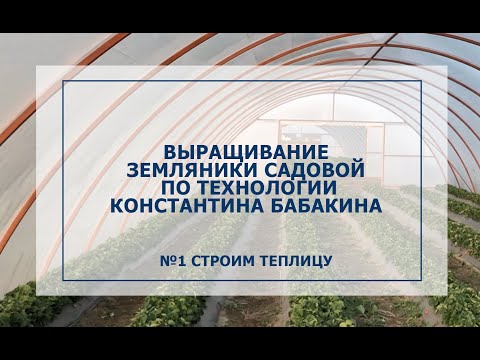 Строим теплицу для земляники садовой/Выращивание земляники садовой