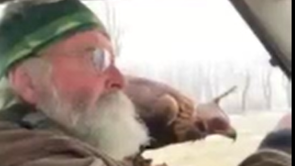 Охотник на лис.mp4