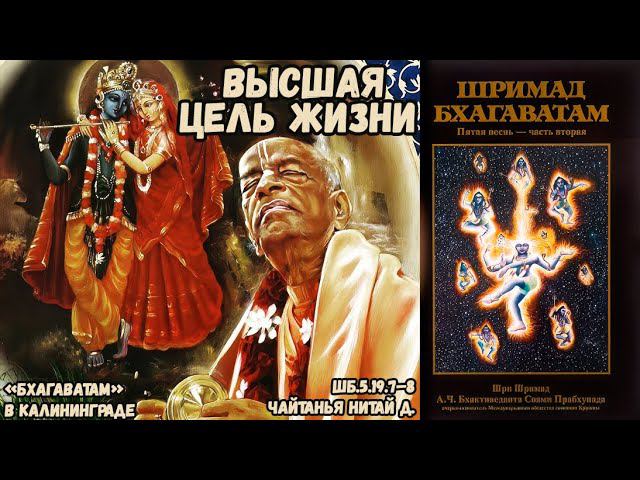 Высшая цель жизни. Чайтанья Нитай д. ШБ.5.19.7–8
