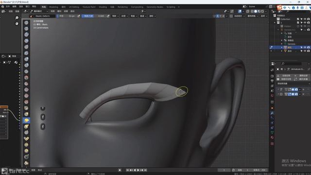 课时14：睫毛调整