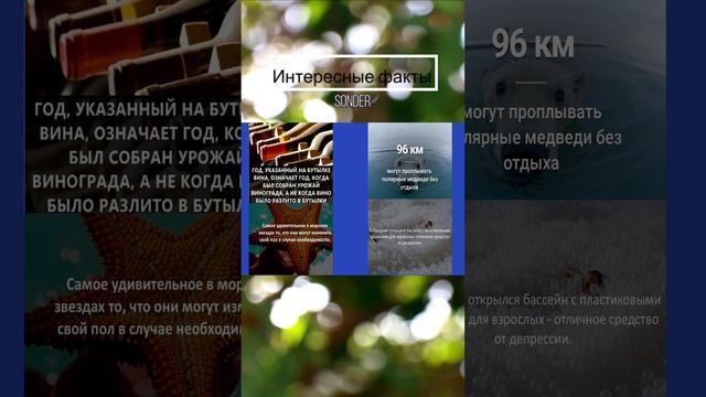 Интересные факты #рекомендации #факты