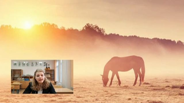 Мое детство - Красный конь