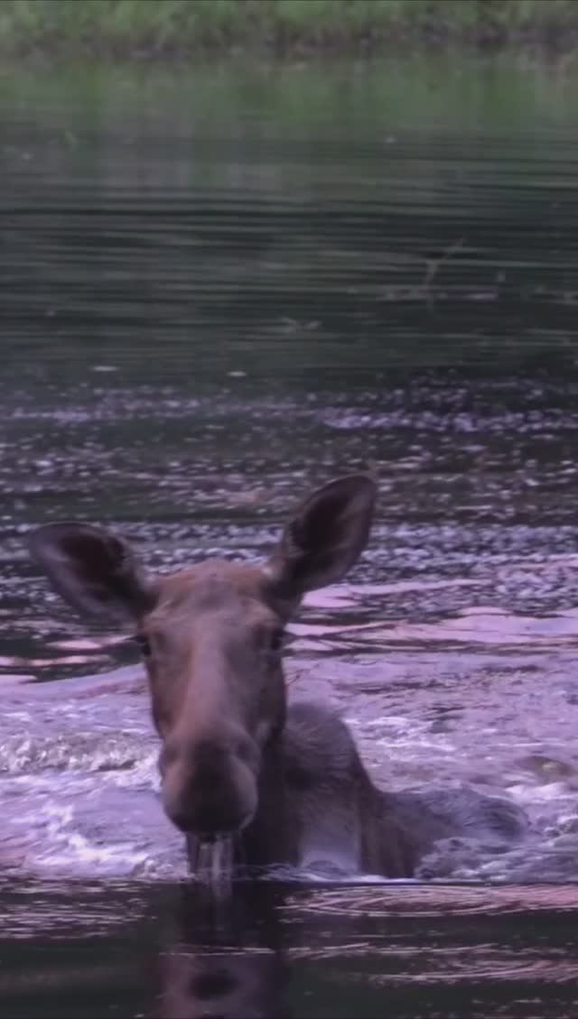 НА ОЗЕРЕ В ЖАРУ