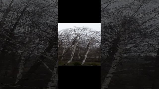 Непогода разгулялась: град и дождь одновременно.