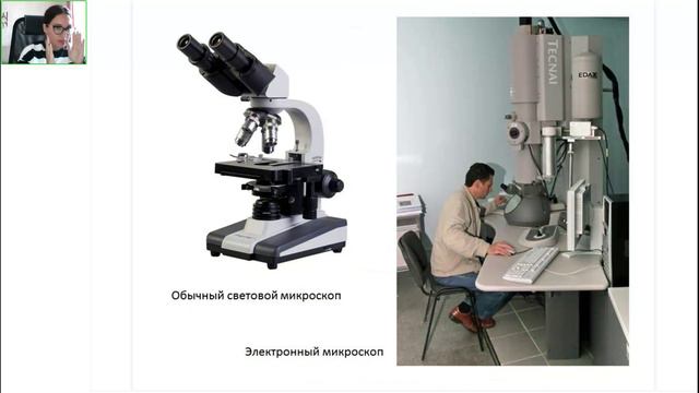 Биология 5 класс 19.09.2023
