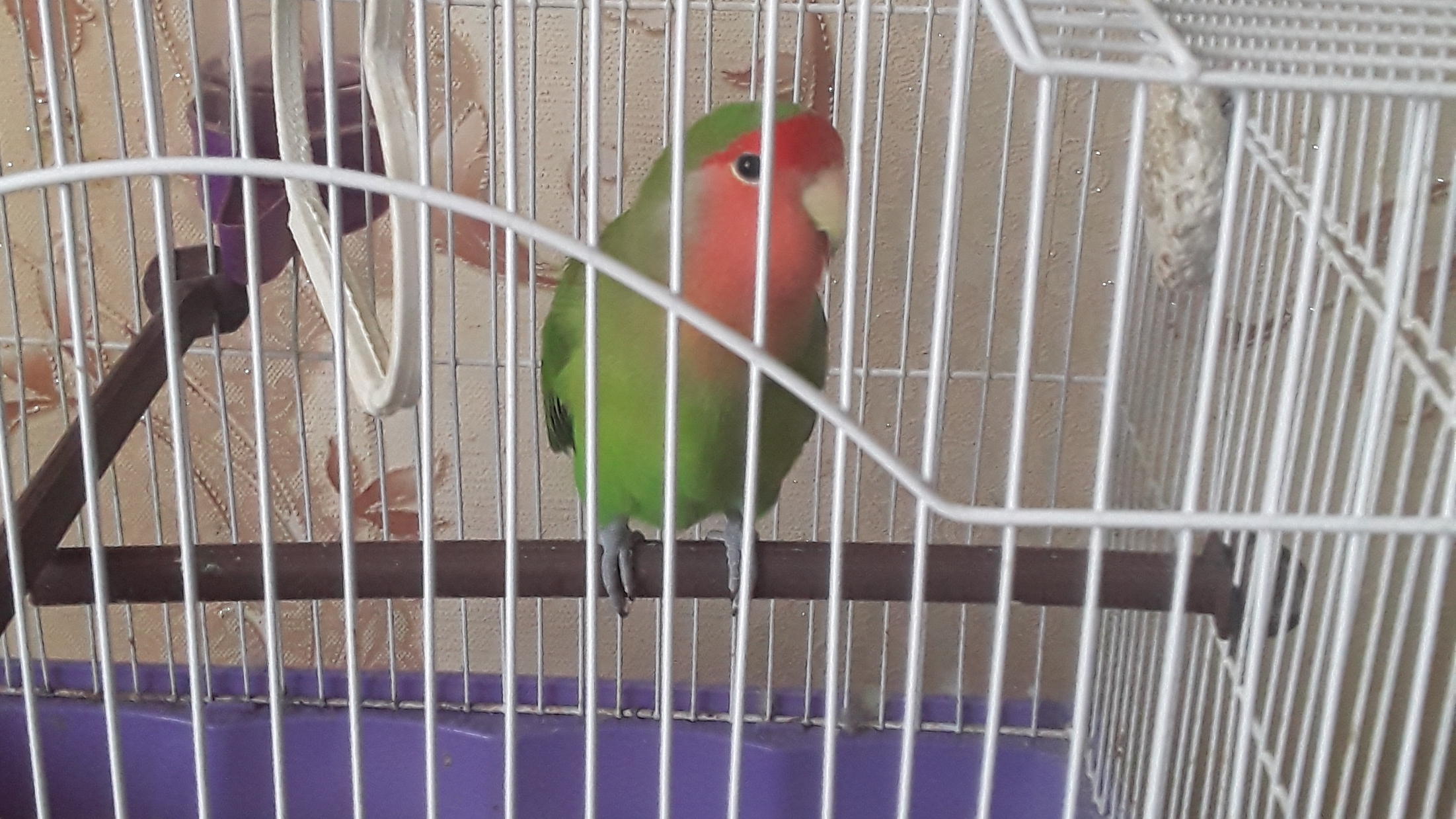 опять Geometry Dash